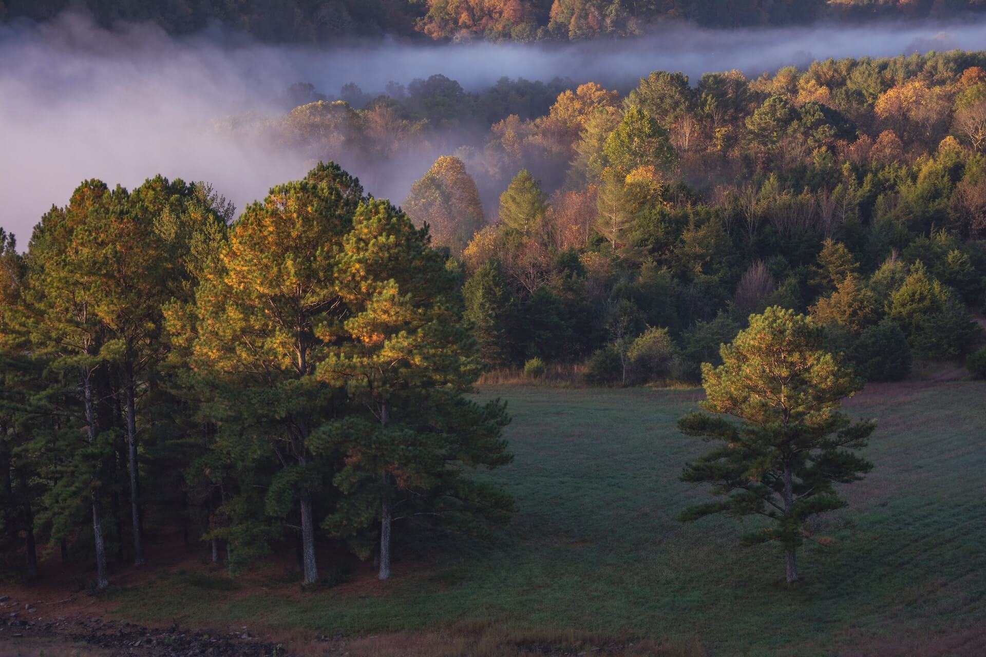 Gig Harbor Obituaries - Haven of Rest Funeral Home